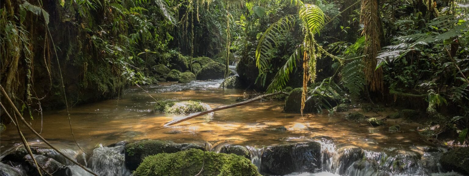Terrasos – Inversiones para la Conservación de la Biodiversidad