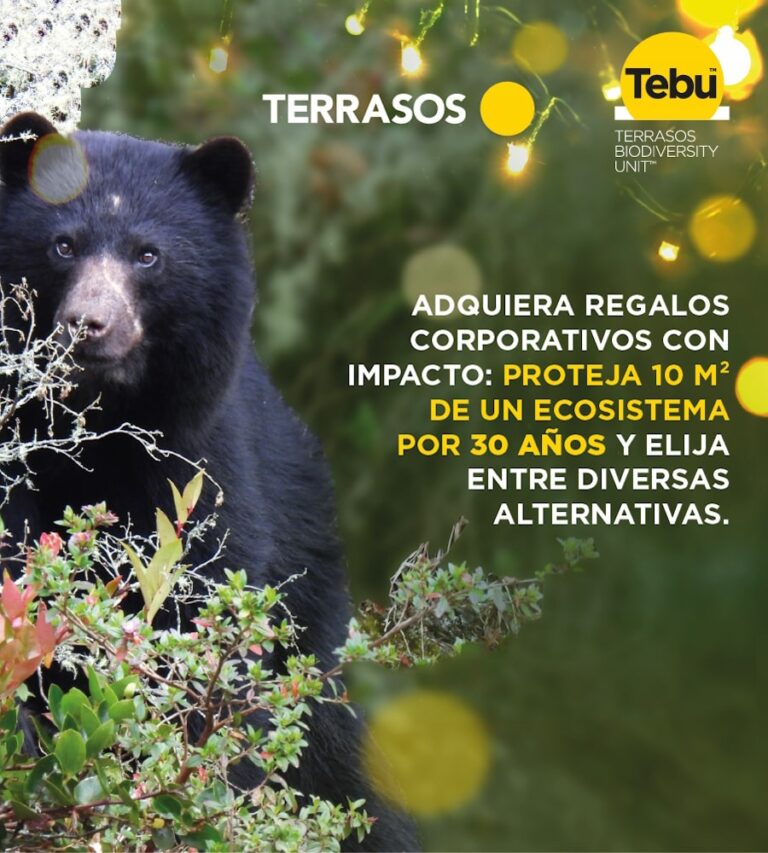 Inicio - Terrasos