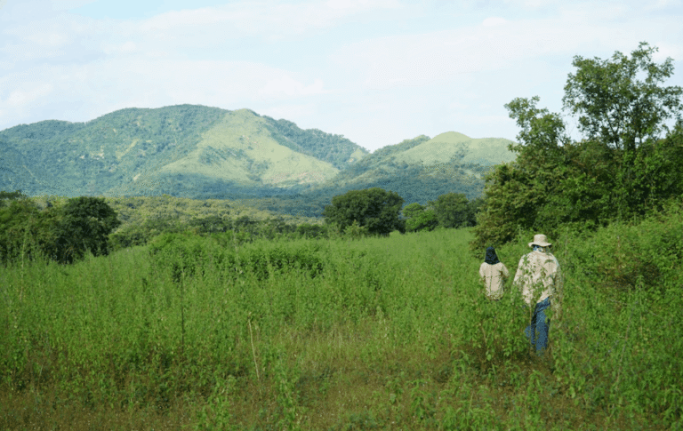 Terrasos - Inversiones para la Conservación de la Biodiversidad