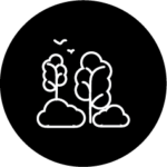 What is Tebu – Terrasos