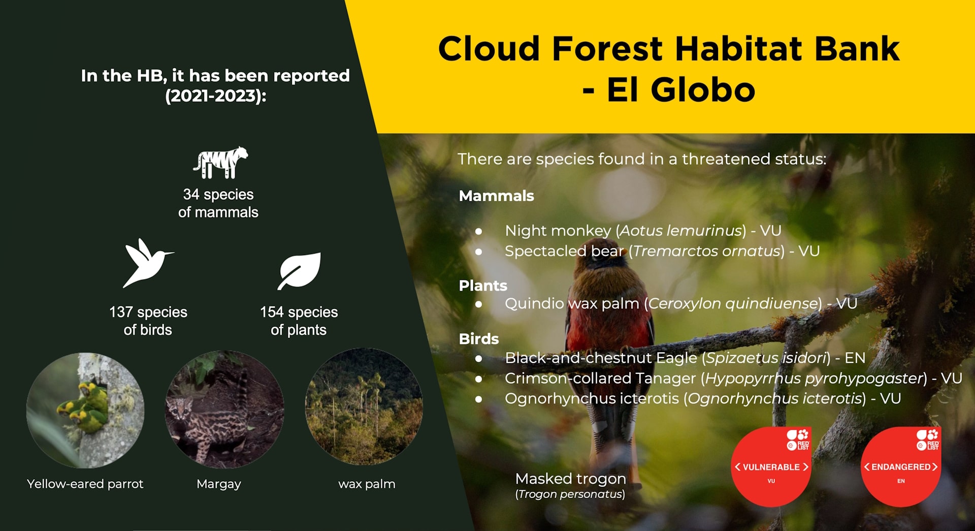 El Globo Habitat Bank - Terrasos