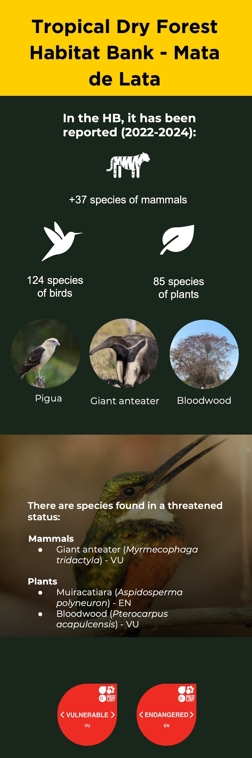 Mata de Lata Habitat Bank - Terrasos