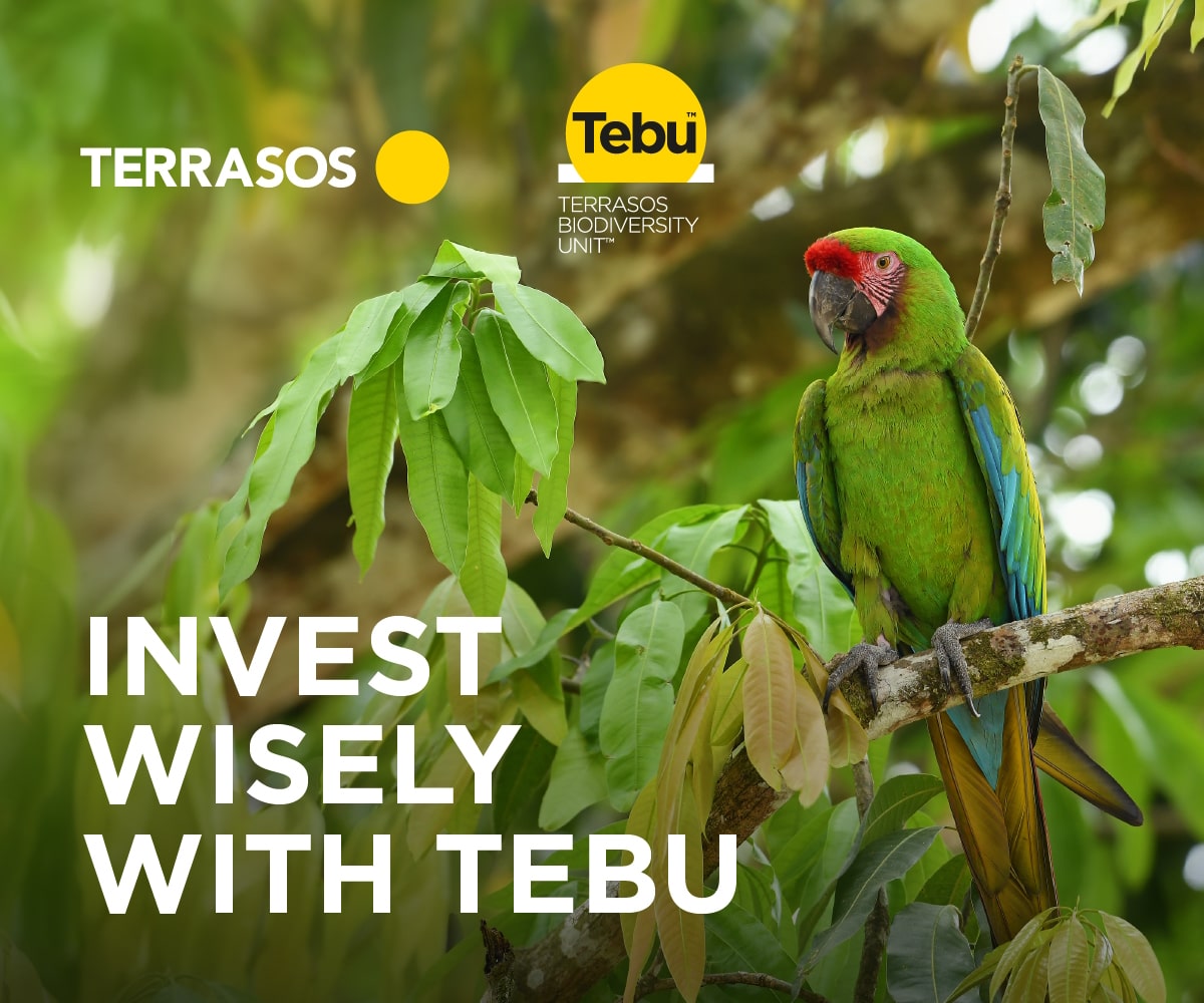 COP16 Event – Terrasos