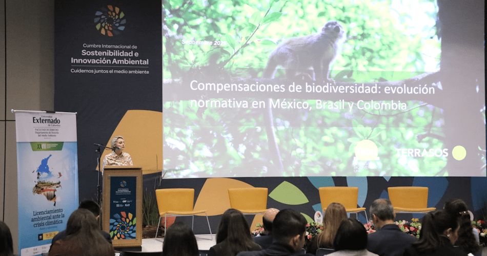 Terrasos analiza la evolución de las compensaciones de biodiversidad en ...