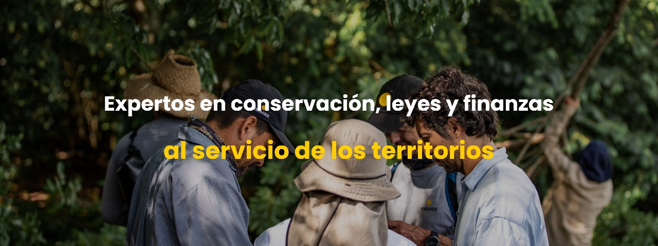 Inicio - Terrasos