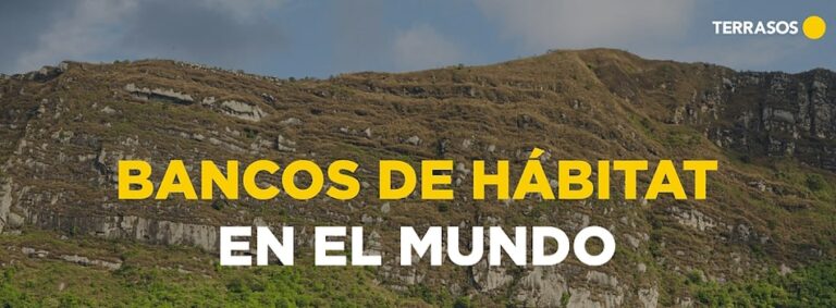 Habitat Banks: Sustainable Solution for Biodiversity in Colombia and ...